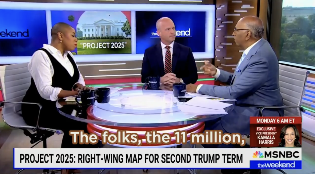 MSNBC Host Melts Down After Conservative Guest Says 'Illegal Aliens ...
