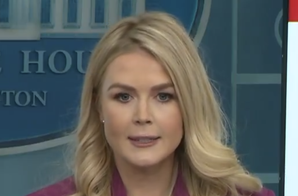 BREAKING: Trump White House Reveals Truth About 'Mystery Drones'