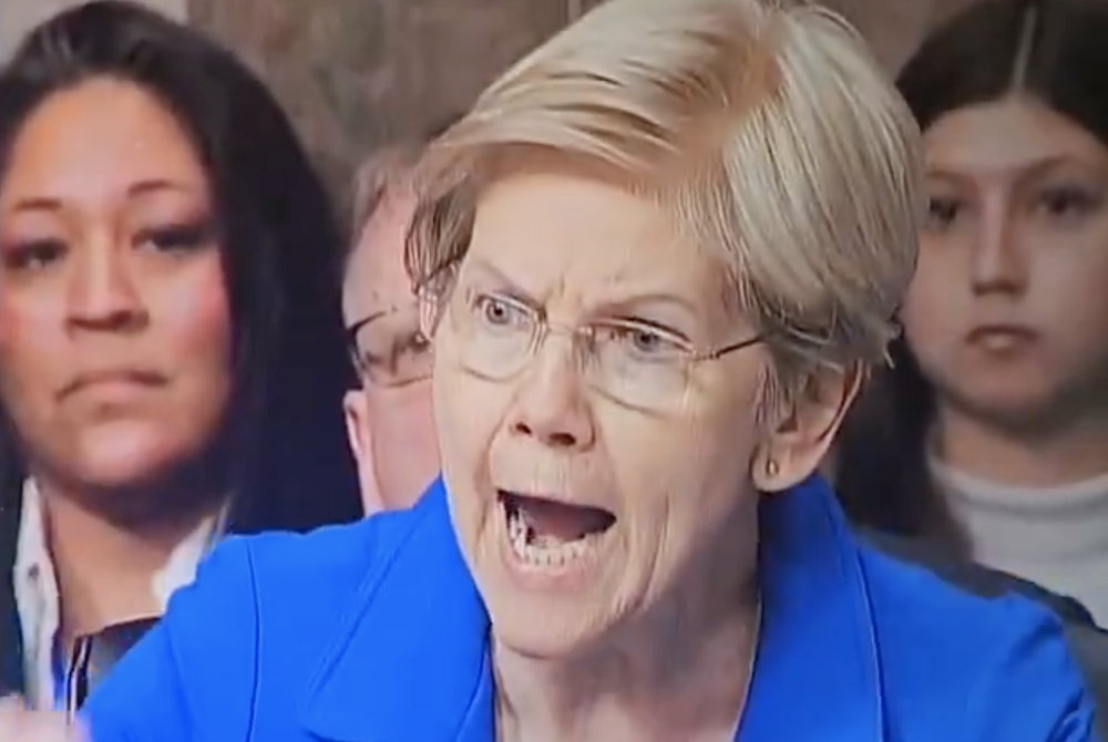 WATCH: Liz Warren Loses It During RFK's Confirmation Hearing, Screams ...